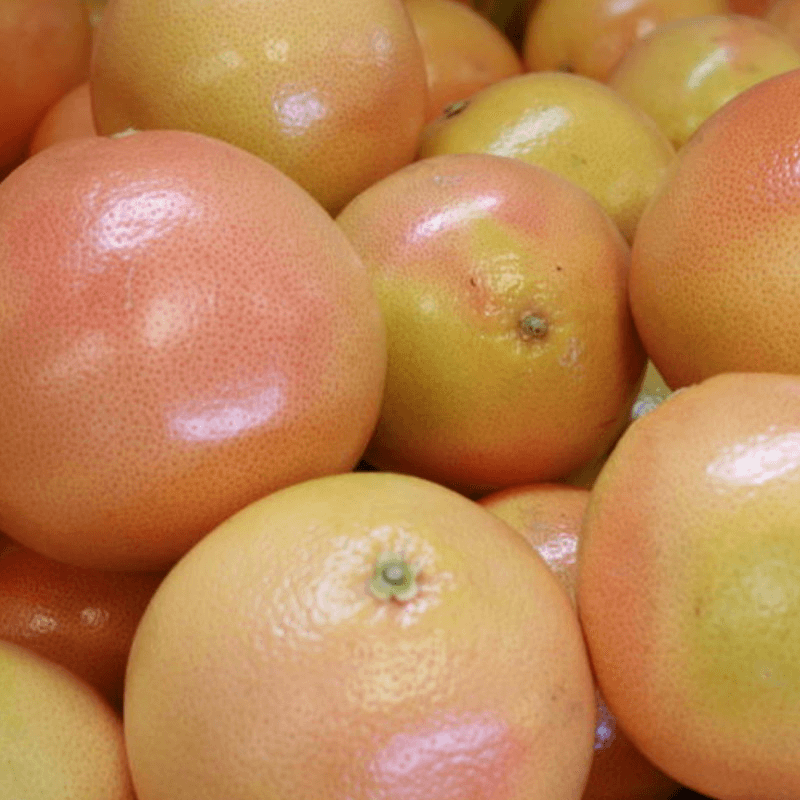 Grapefruit - Star Ruby – flyingdragonnursery