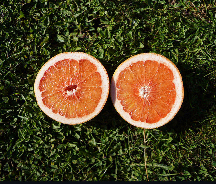 Flying Dragon Nursery – flyingdragonnursery