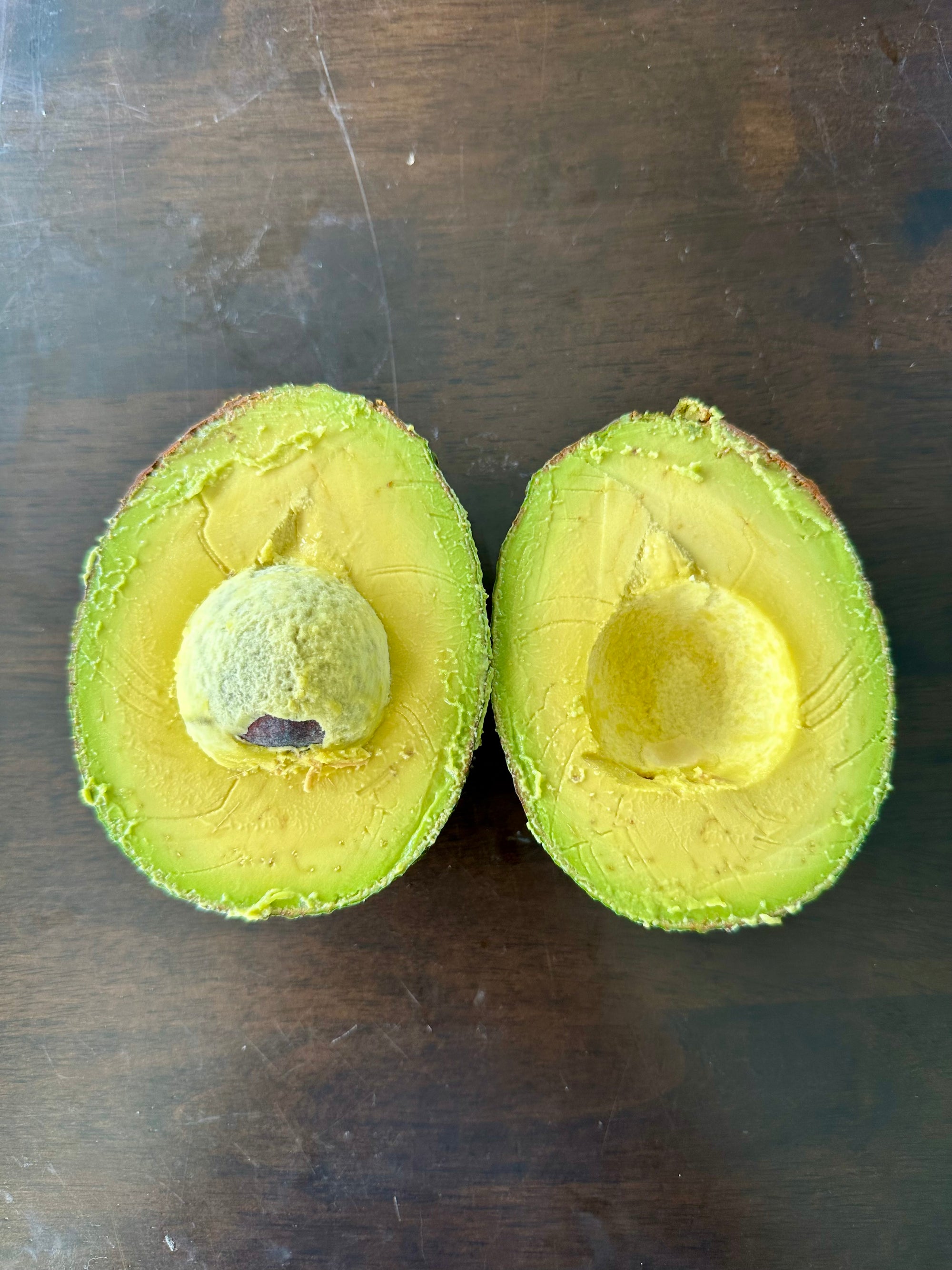 Buy Esther Dwarf Avocado Tree NZ | Semi-Dwarf, Heavy Cropper | Flying ...