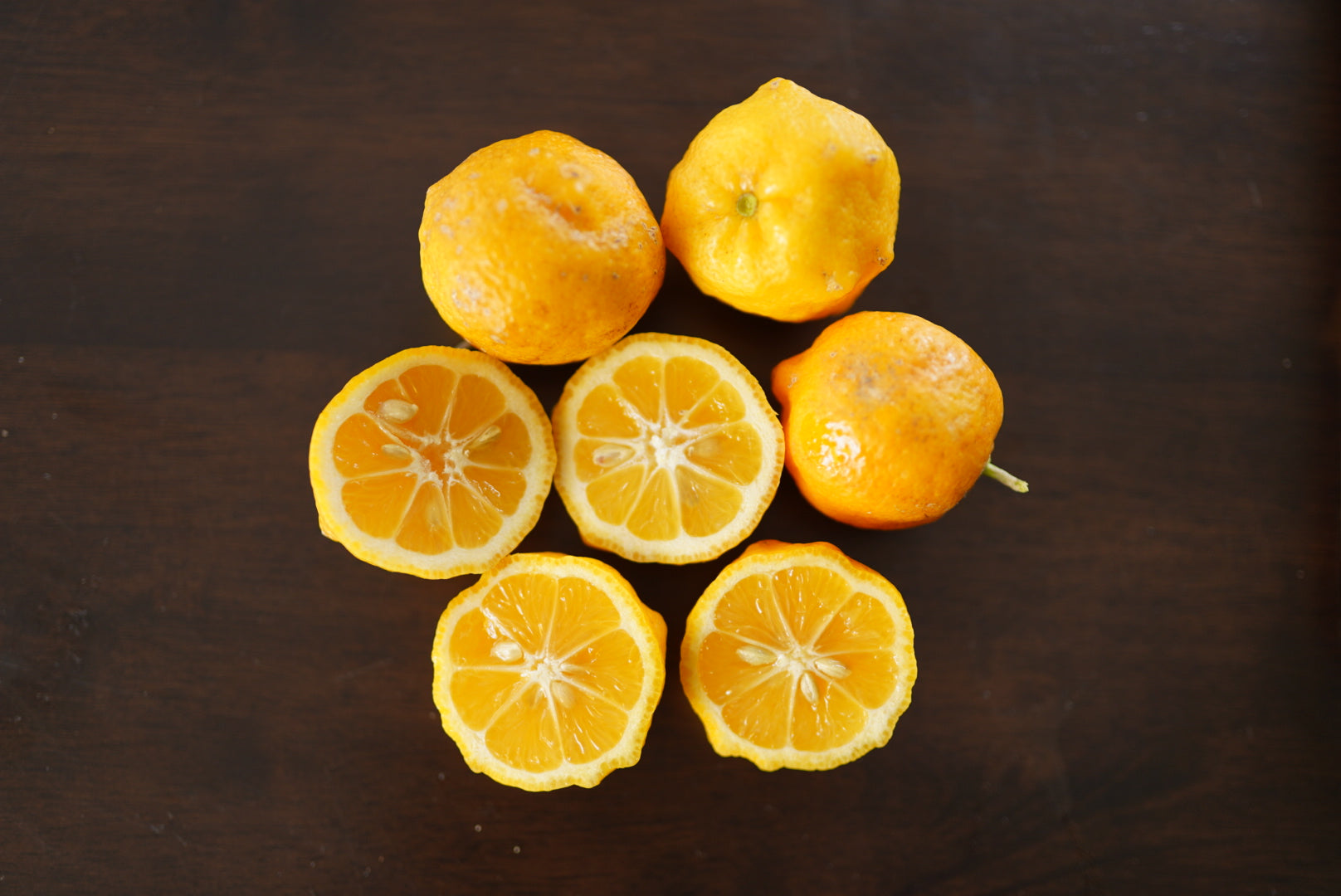 Lime - Kusaie – flyingdragonnursery