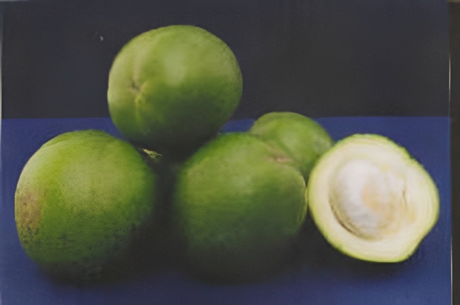 Casimiroa & cherimoya – flyingdragonnursery